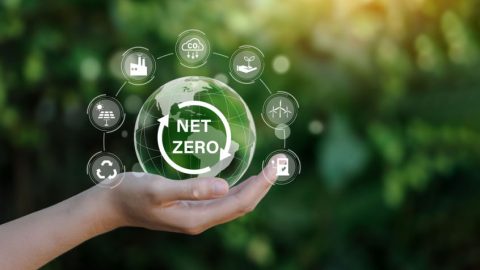 Che cos'è la neutralità climatica? - Energit